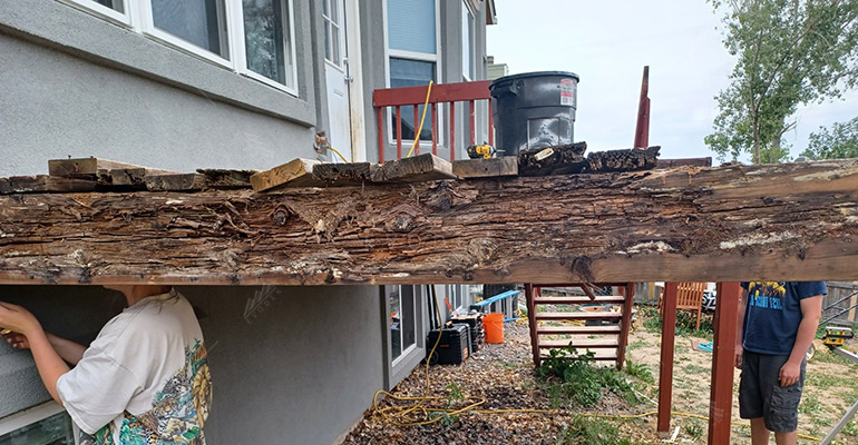 5 Steps on How to Repair Wood Rot