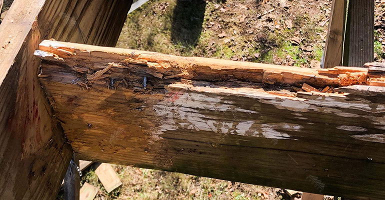 5 Steps on How to Repair Wood Rot